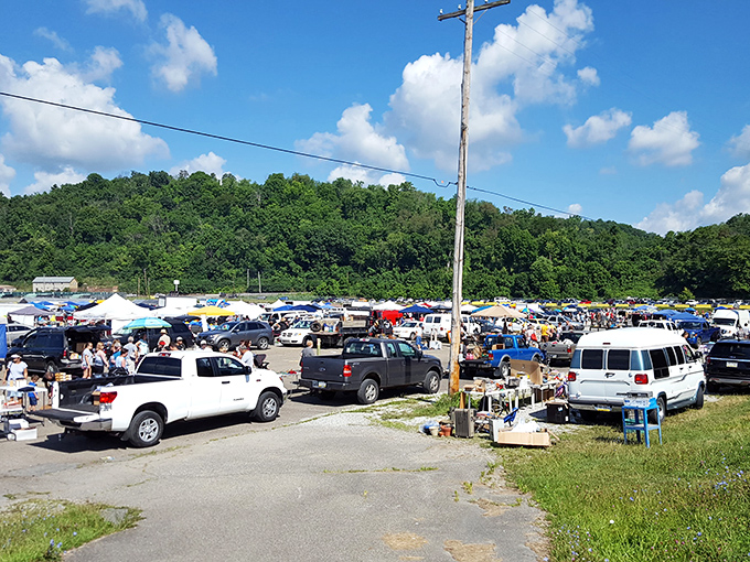 The view that makes first-timers gasp and veterans strategize&mdash;a sea of canopies and pickup trucks where Pennsylvania's greatest treasures await discovery.