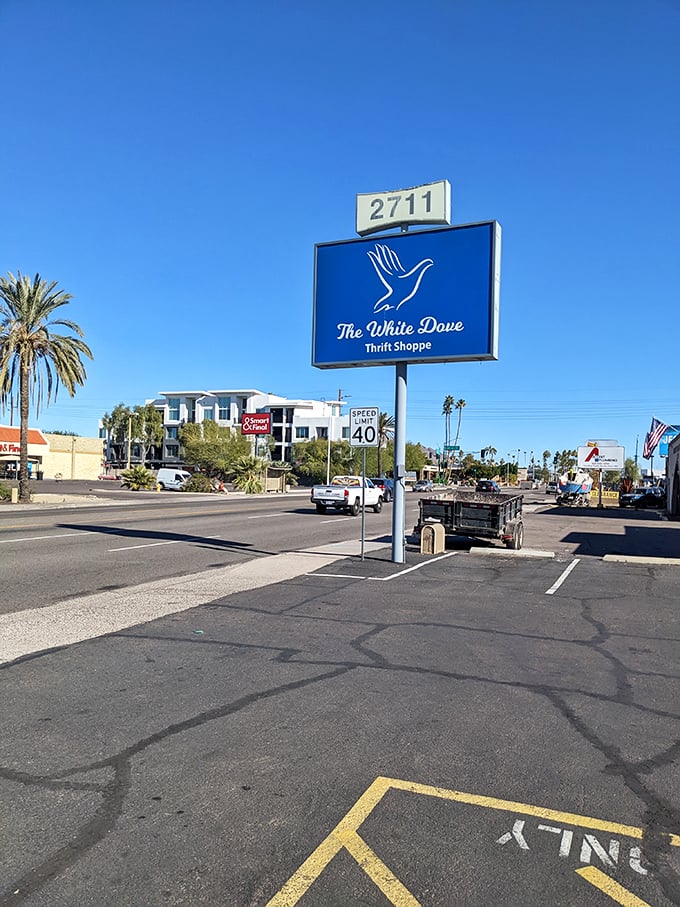 Palm trees frame the White Dove sign, a Phoenix landmark for those who know that "pre-loved" often means "pre-awesome."