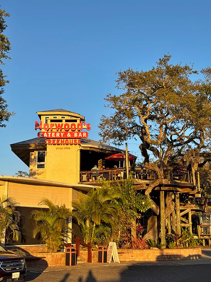 Golden hour transforms Norwood's into a beacon for hungry travelers, its treehouse silhouette promising adventures for your taste buds.