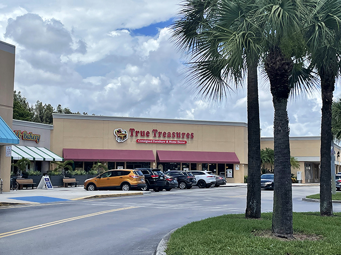 The exterior view showcases True Treasures in its natural habitat&mdash;a Florida strip mall elevated by royal palms and the promise of air conditioning inside.