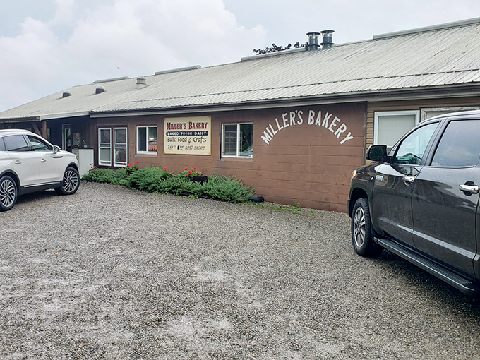 The storefront, where pilgrims of pastry make their approach. Cars in the lot mean you're not the only one who got the memo about Ohio's sweetest secret.