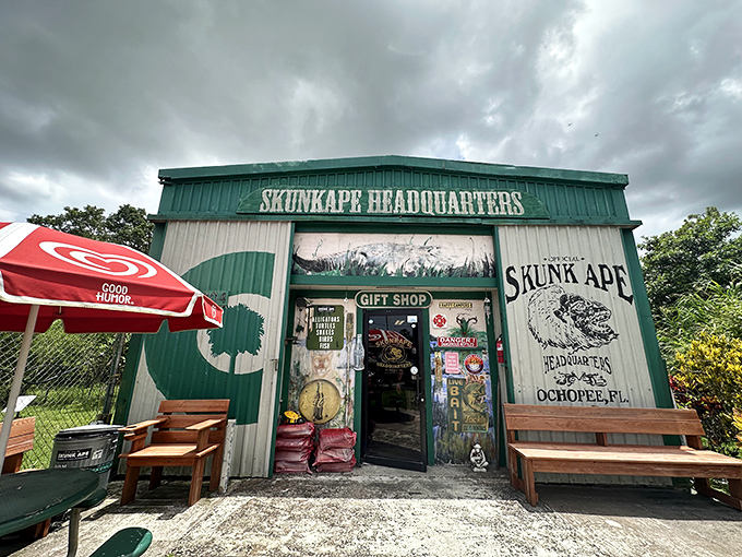 Storm clouds gather dramatically over cryptid central. The green and white exterior promises mysteries inside that are just as intriguing as Florida's mercurial weather.