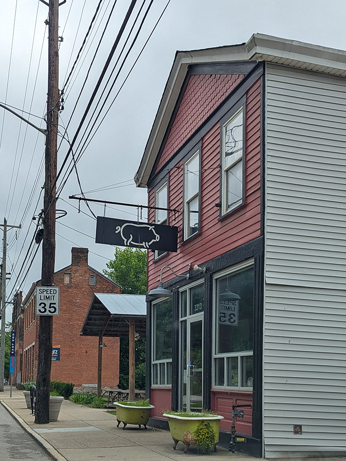 The iconic pig sign marks the spot where barbecue dreams come true, standing sentinel over a street corner in Cincinnati's Riverside neighborhood.