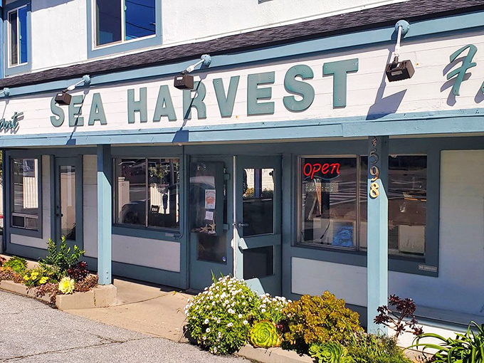 The welcoming storefront promises seafood salvation within. Those flowers aren't just decoration&mdash;they're a celebration of what awaits inside.