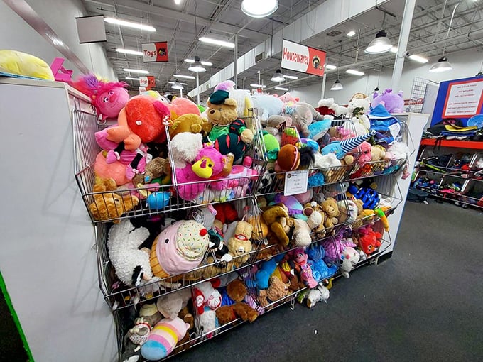 Stuffed animal adoption center! These plush friends, from vintage teddy bears to modern cartoon characters, are ready for their second chance at cuddles.