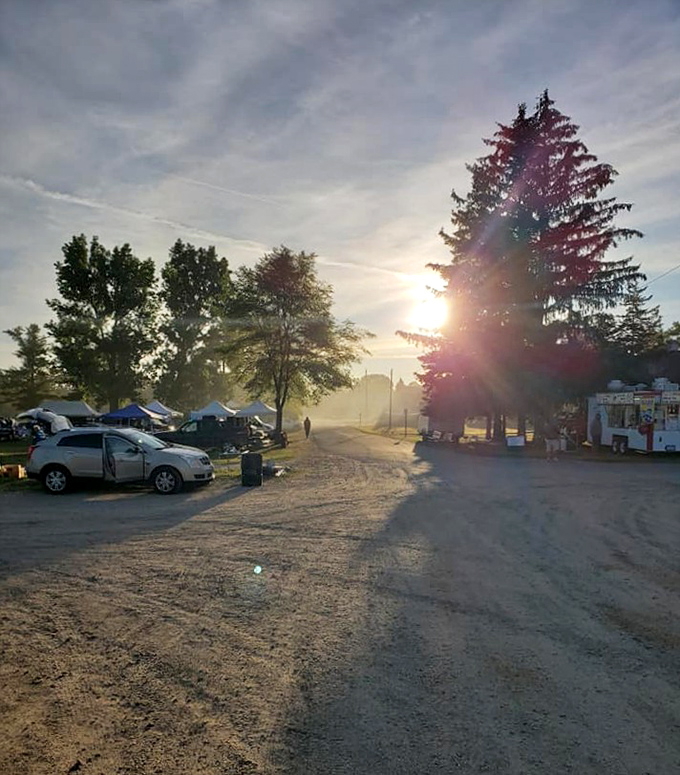 Magic hour at the market. As the sun sets through towering pines, early-rising vendors and dedicated shoppers create a scene worthy of a Michigan postcard.