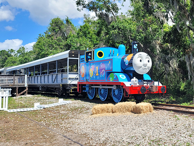 The star of countless childhoods pulls into the station &ndash; Thomas the Tank Engine makes special appearances at the museum, delighting generations of fans.