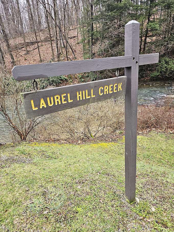 "Laurel Hill Creek" isn't just a sign&mdash;it's an invitation to follow the water to places that will make your Instagram followers jealous.