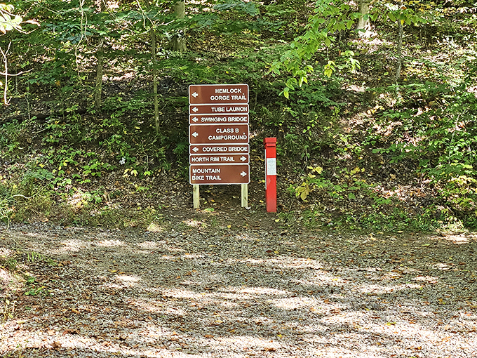 Trail signs pointing in all directions &ndash; nature's version of a choose-your-own-adventure book where every ending involves spectacular views and tired legs.