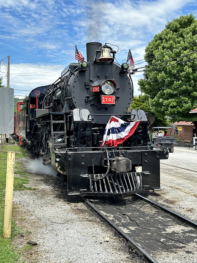 Ready to roll through mountain paradise, this locomotive promises memories that last a lifetime ahead.