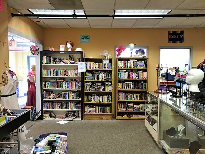 Books and mannequin heads create an unexpectedly charming vignette. In the world of thrifting, these unlikely neighbors make perfect sense.