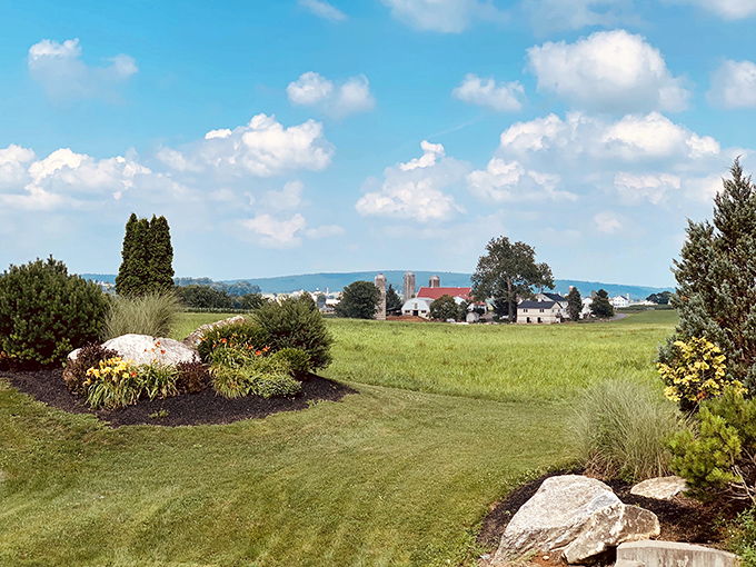 Scenic countryside views that remind you why food tastes better when it comes from places this beautiful.