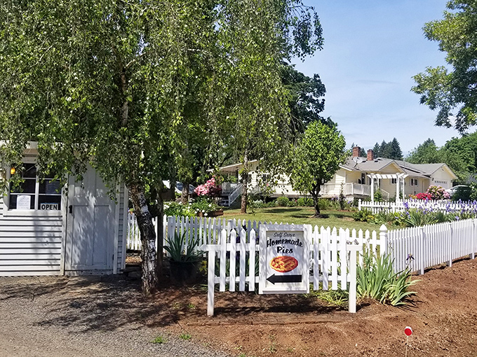 The white picket fence frames this pie paradise like a Norman Rockwell painting come to life. Summer in Oregon never looked so delicious.
