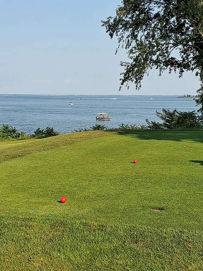Golf balls wait patiently on manicured greens while boats drift by, creating the ultimate "focus test" for dedicated players.