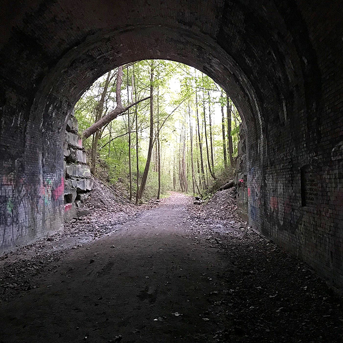 Looking outward from the tunnel's darkness creates a perfect frame for the forest beyond, light and shadow playing at the threshold.
