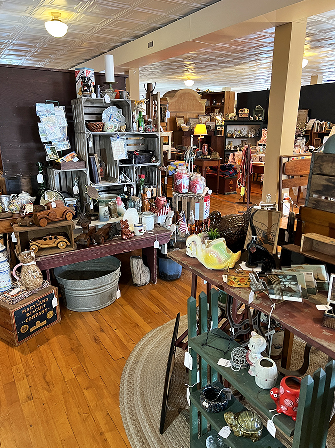 Childhood memories line these shelves—vintage toys and collectibles arranged with the care of curators who understand their emotional value.