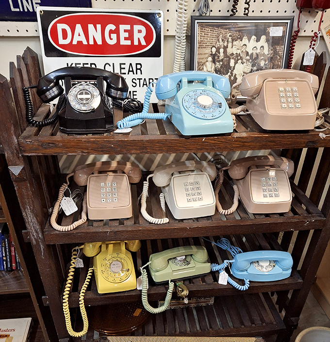 Before smartphones ruled our lives, these colorful rotary phones connected us&mdash;each one a technological fossil from when "hanging up" was a literal action.