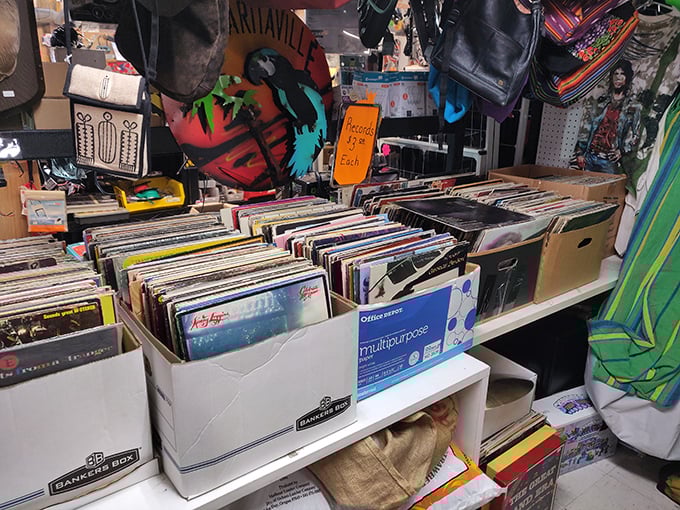 Vinyl records organized with the care of a music archivist&mdash;that album your first love made you listen to is probably hiding here.
