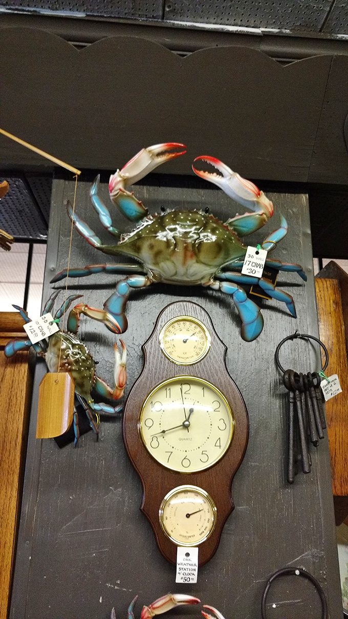 Time stands still yet keeps ticking in this curious display where vintage clocks and decorative crabs create an unexpected coastal chronometer.