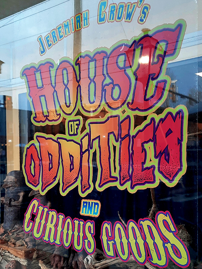 Vibrant window graphics announce the establishment's peculiar purpose. The colorful lettering practically pulses with the promise of strange discoveries within.