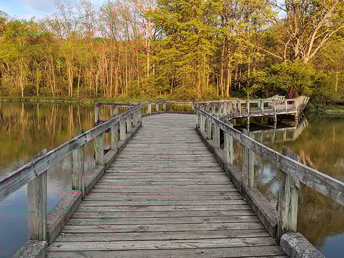 The kind of path that makes you speak in whispers. This wooden boardwalk seems suspended between two worlds&mdash;solid ground and reflective water.