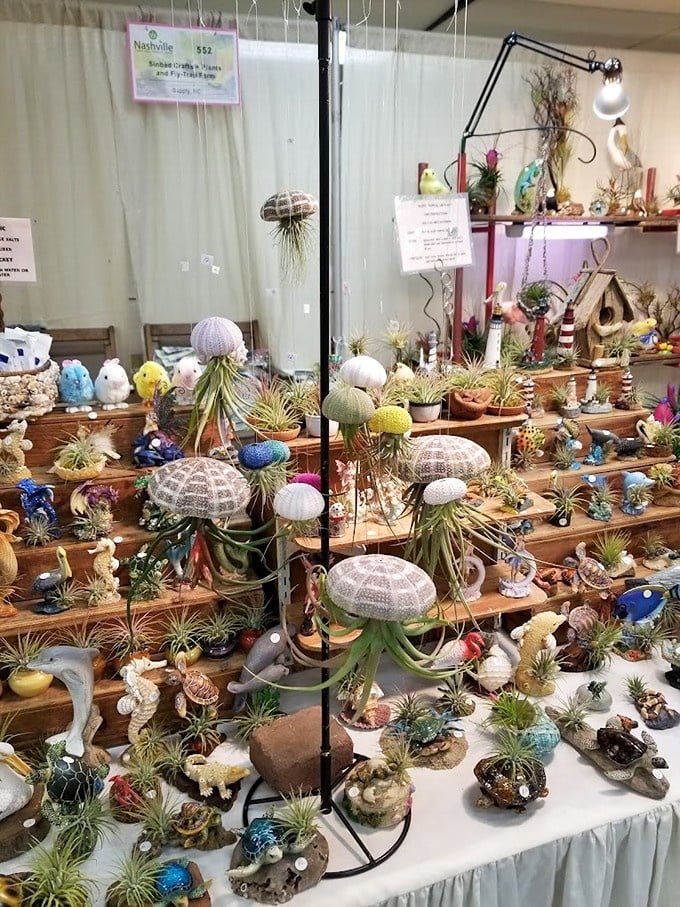 Decorative plants bringing life and greenery to spaces that need natural beauty and charm.