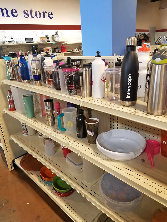 The water bottle graveyard: where corporate swag and abandoned New Year's resolutions find new purpose in hydrating their next owner.