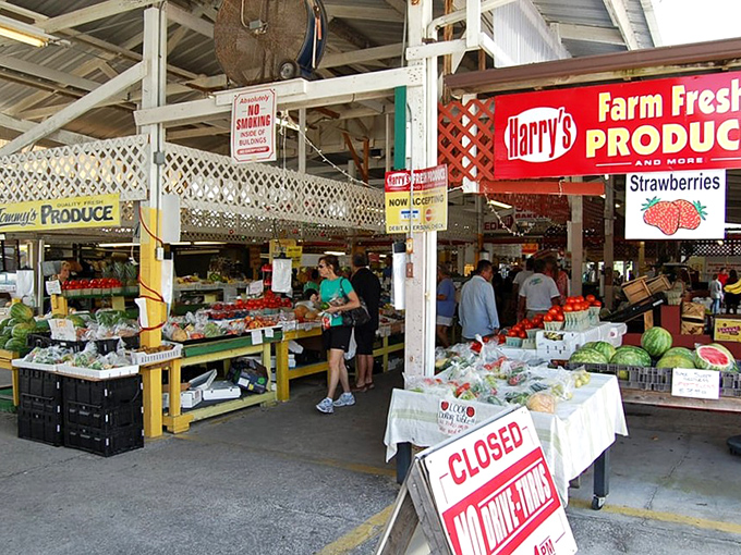 Oldsmar's charming exterior hints at the treasure trove waiting inside this Tampa Bay shopping institution.