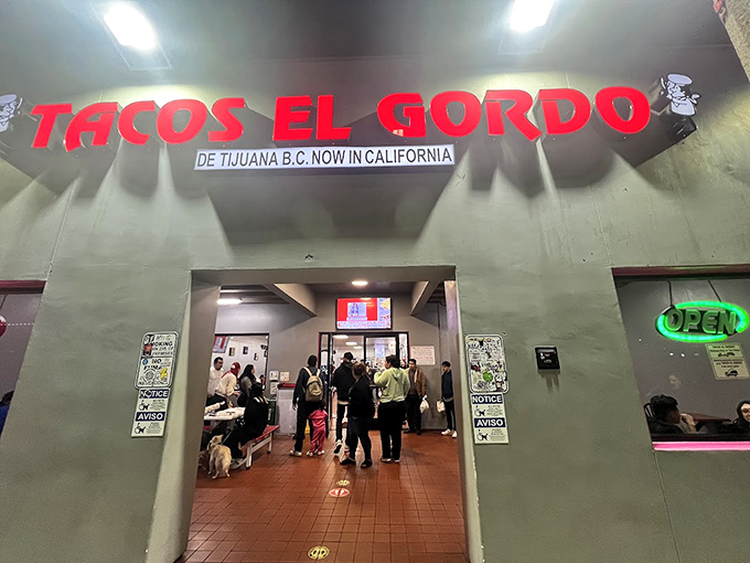The line forming at Tacos El Gordo isn't just customers &ndash; it's a pilgrimage of taco enthusiasts seeking meat-carving perfection.