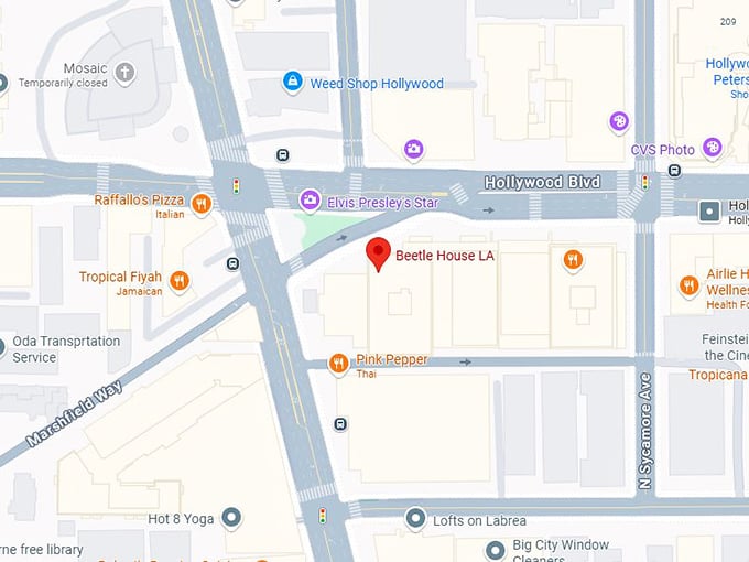 16. beetle house la map