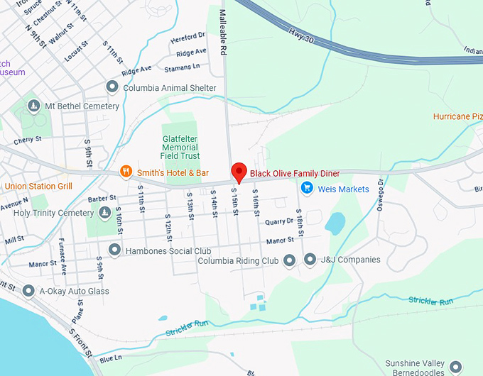 16. black olive family diner map