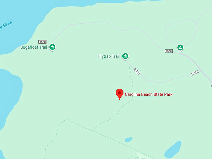 16. carolina beach state park map