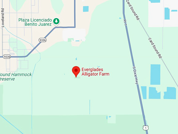16. everglades alligator farm map
