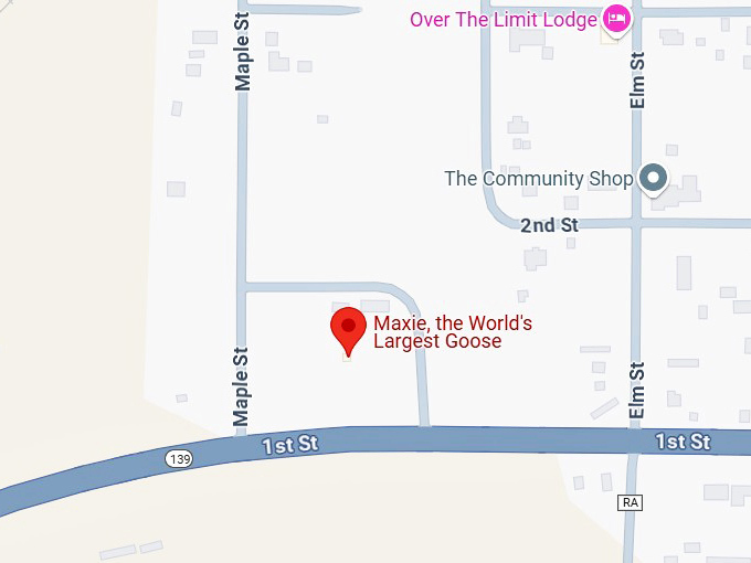 16. maxie, the world's largest goose map