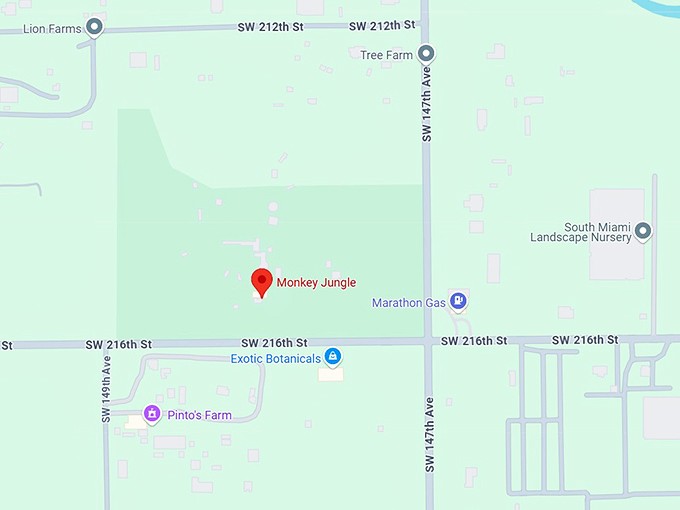 16. monkey jungle map