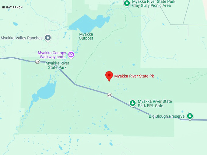 16. myakka river state park