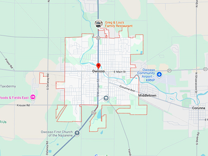 16. owosso, mi map