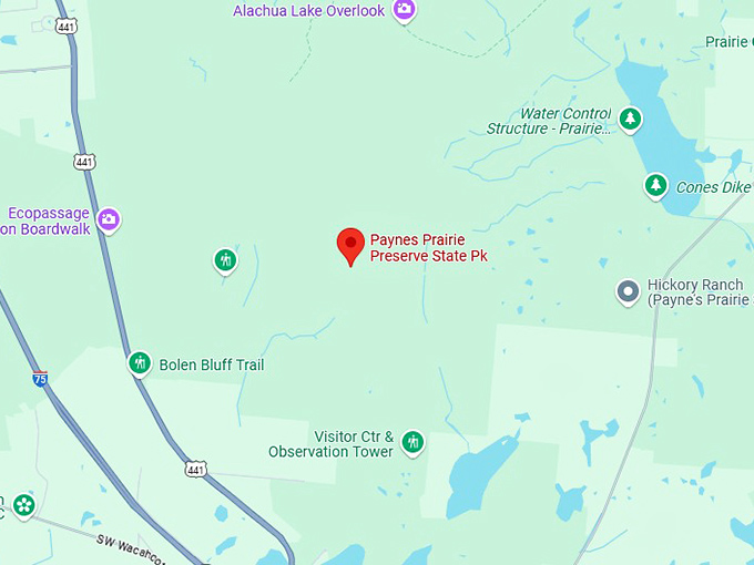 16. paynes prairie preserve state park map