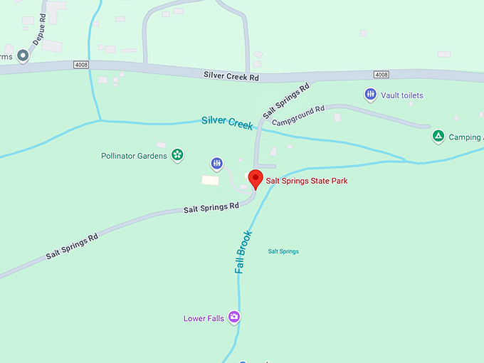 16. salt springs state park map