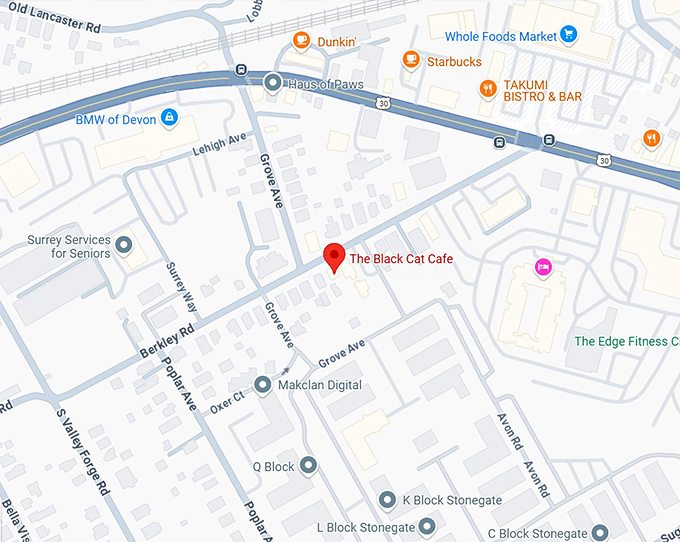 the black cat cafe map