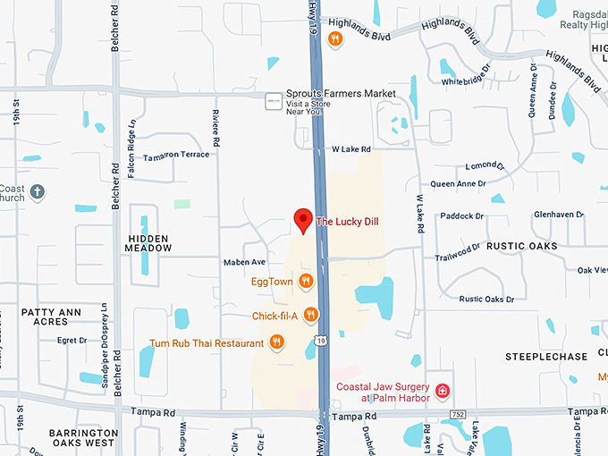 16. the lucky dill map