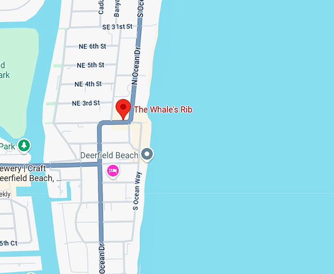 16. the whale's rib map