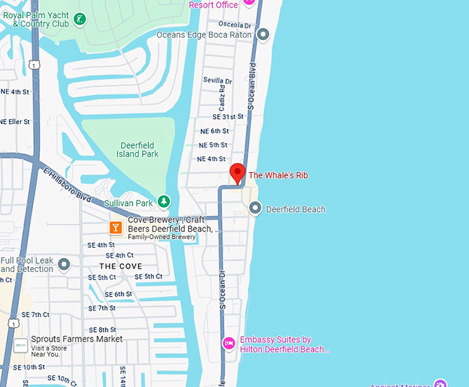 16. the whale's rib map