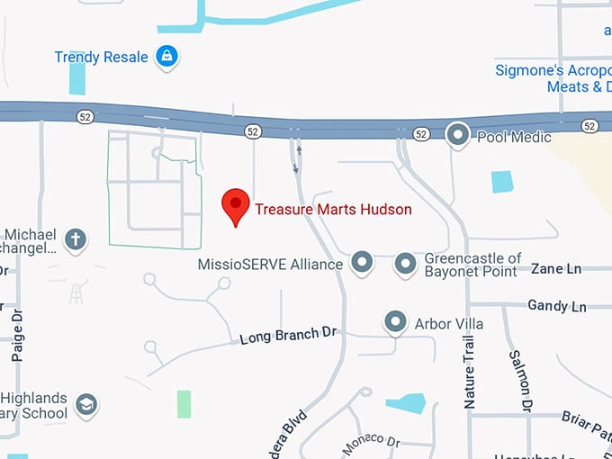 16. treasure marts hudson