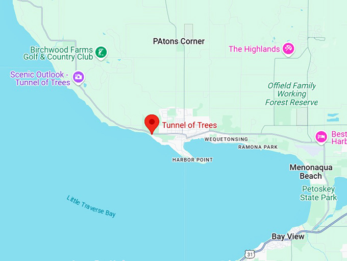16. tunnel of trees map