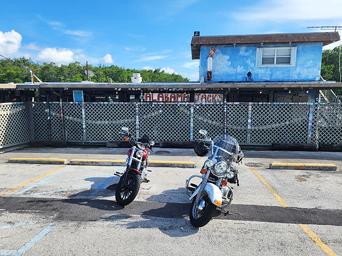The blue exterior of Alabama Jacks might not scream "gourmet," but locals know this Key Largo landmark delivers seafood worth the ride.