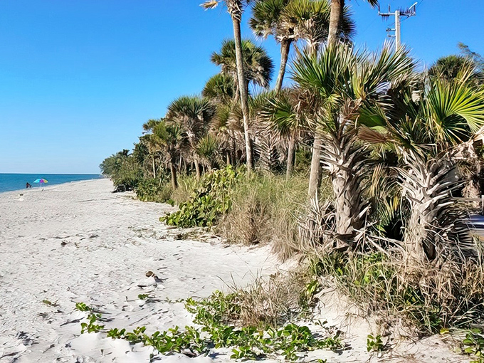 Palm trees stand guard over pristine white sand at Blind Pass Beach, nature's own VIP section away from the tourist crowds.