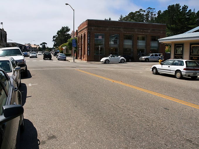 Cambria's main street looks like a movie set where time decided to take a permanent vacation. Brick buildings and small-town charm await.