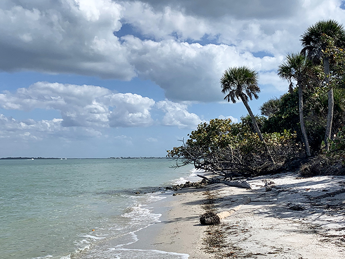 Nature's perfect canvas &ndash; where palm trees lean toward turquoise waters as if admiring their own reflection.