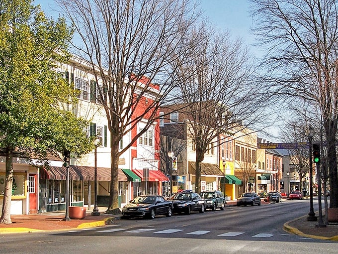 Dover's downtown streets whisper stories of government meetings and weekend farmers markets in perfect harmony. 